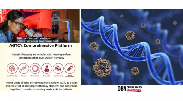 Long-Term Antiviral Therapy for Ocular Shingles | OBN